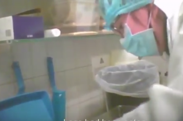 Animal testing report reveals Brussels still conducting 'severe ...