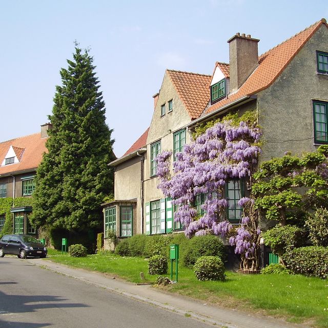 Up my street: The Bulletin's neighbourhood guide to Watermael-Boitsfort ...