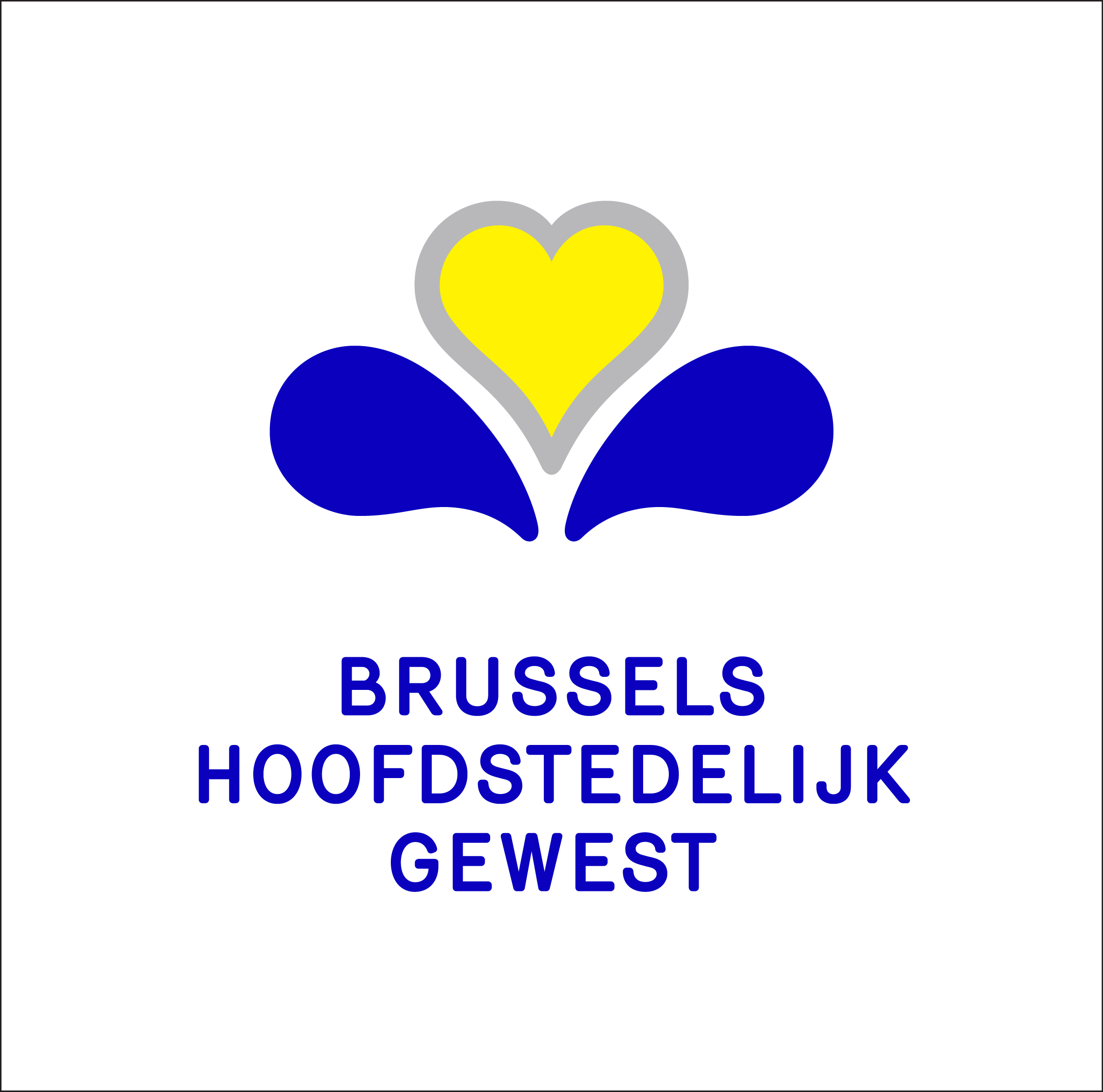 Brussels-Capital Region launches new logo and flag | The Bulletin Brussels-Capital Region launches new logo and flag | The Bulletin
