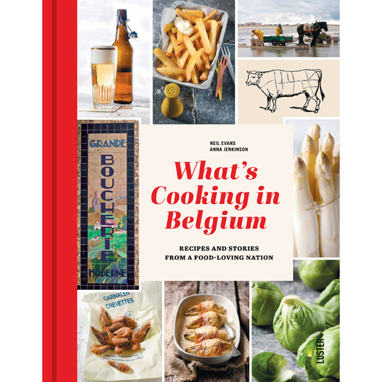 Read all about it: our pick of books about Belgium | The Bulletin