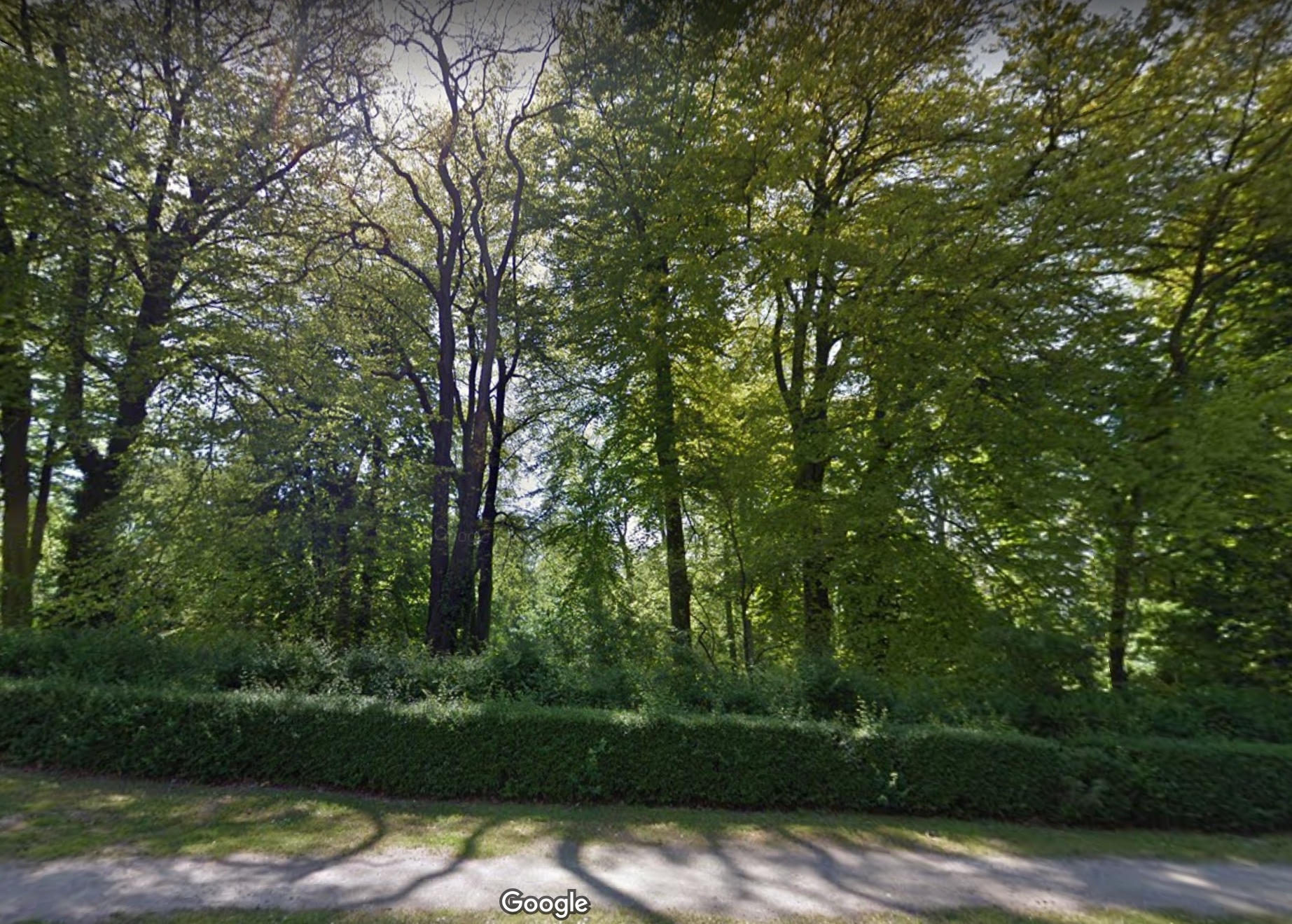 Dudenpark in Brussels to close for two weeks | The Bulletin