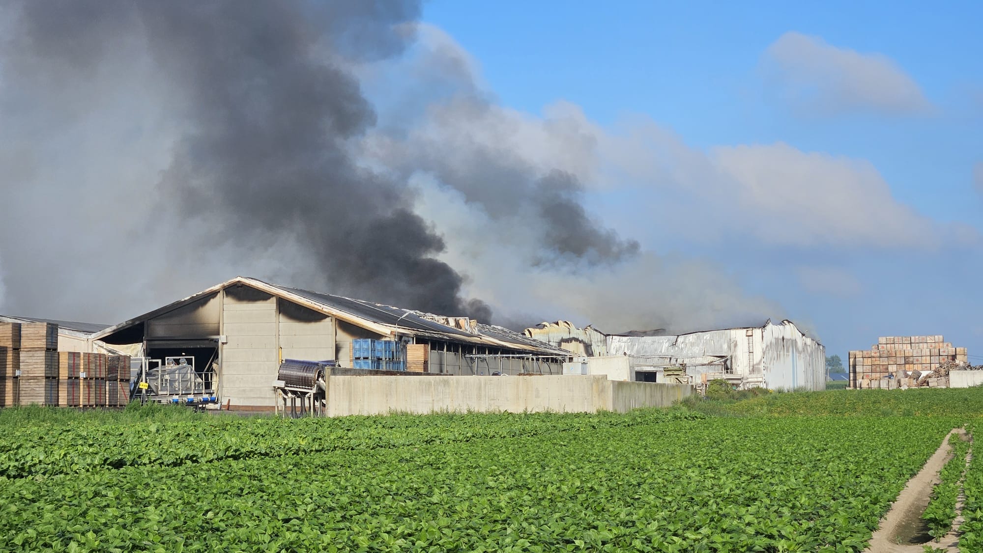 3,000 evacuated due to fire at factory in West Flanders | The Bulletin