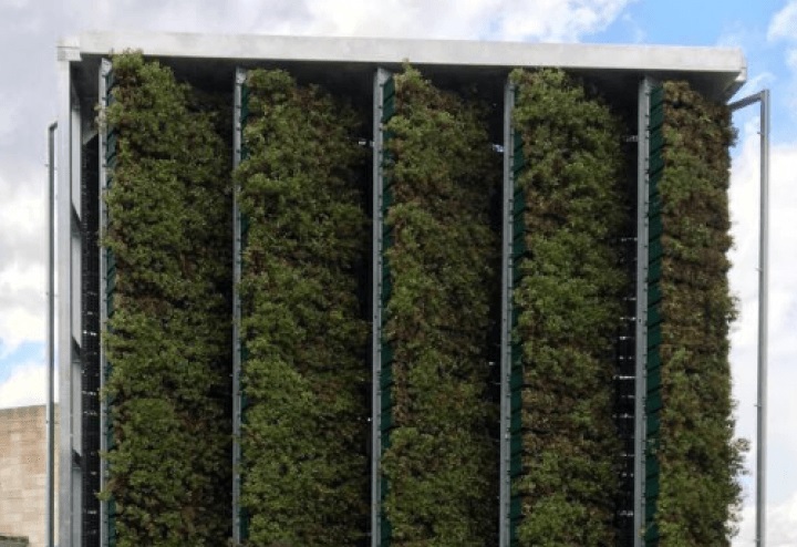 High-tech 'City Tree' in Brussels does the work of 275 real trees | The ...