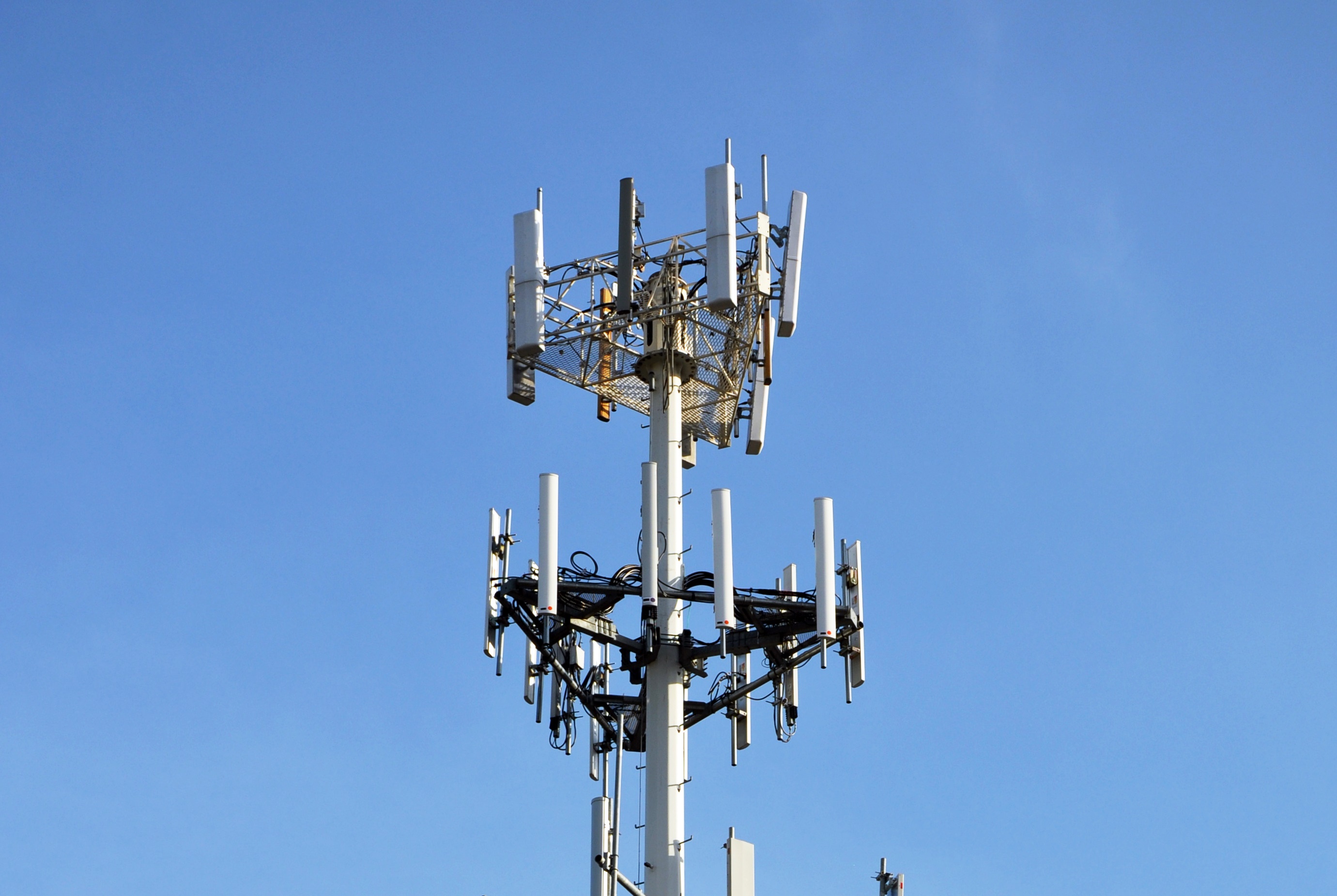 Proximus loses case against GSM mast tax | The Bulletin