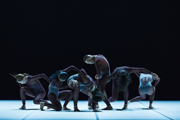 Korean contemporary dance evening at KVS on 16 April | The Bulletin