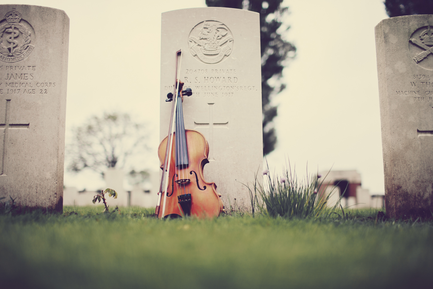 The Battle of Messines remembered, 100 years on | The Bulletin