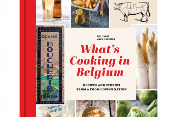 Read all about it: our pick of books about Belgium | The Bulletin