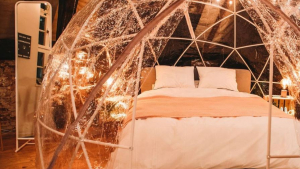 Leisure | The Bulletin