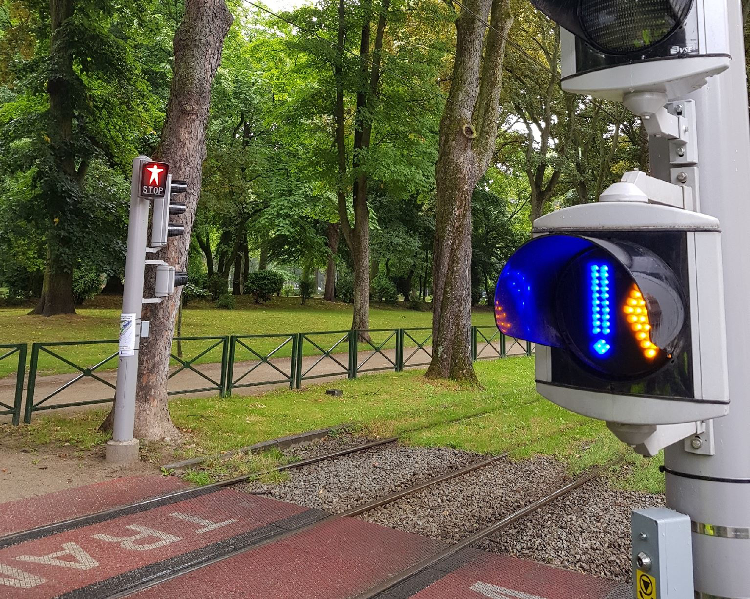 Trial traffic lights alert vulnerable road users to oncoming trams ...