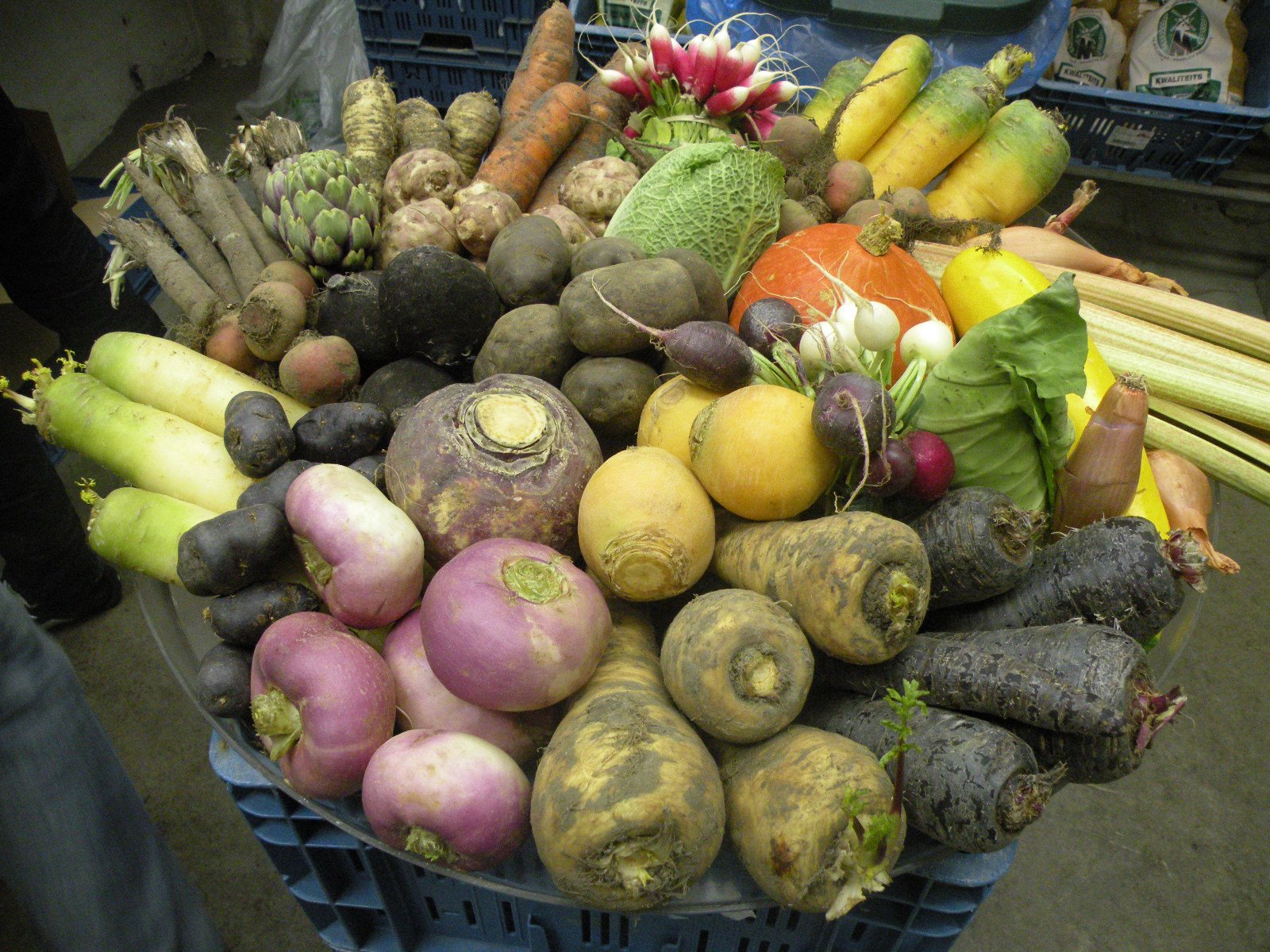 5 forgotten winter vegetables and what to do with them | The Bulletin